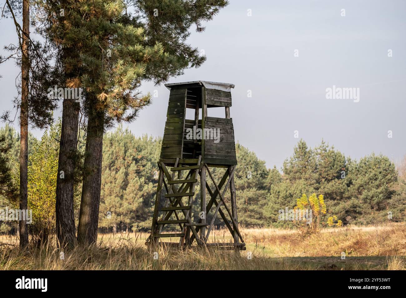Tall wooden lookout tower stands hi-res stock photography and images ...