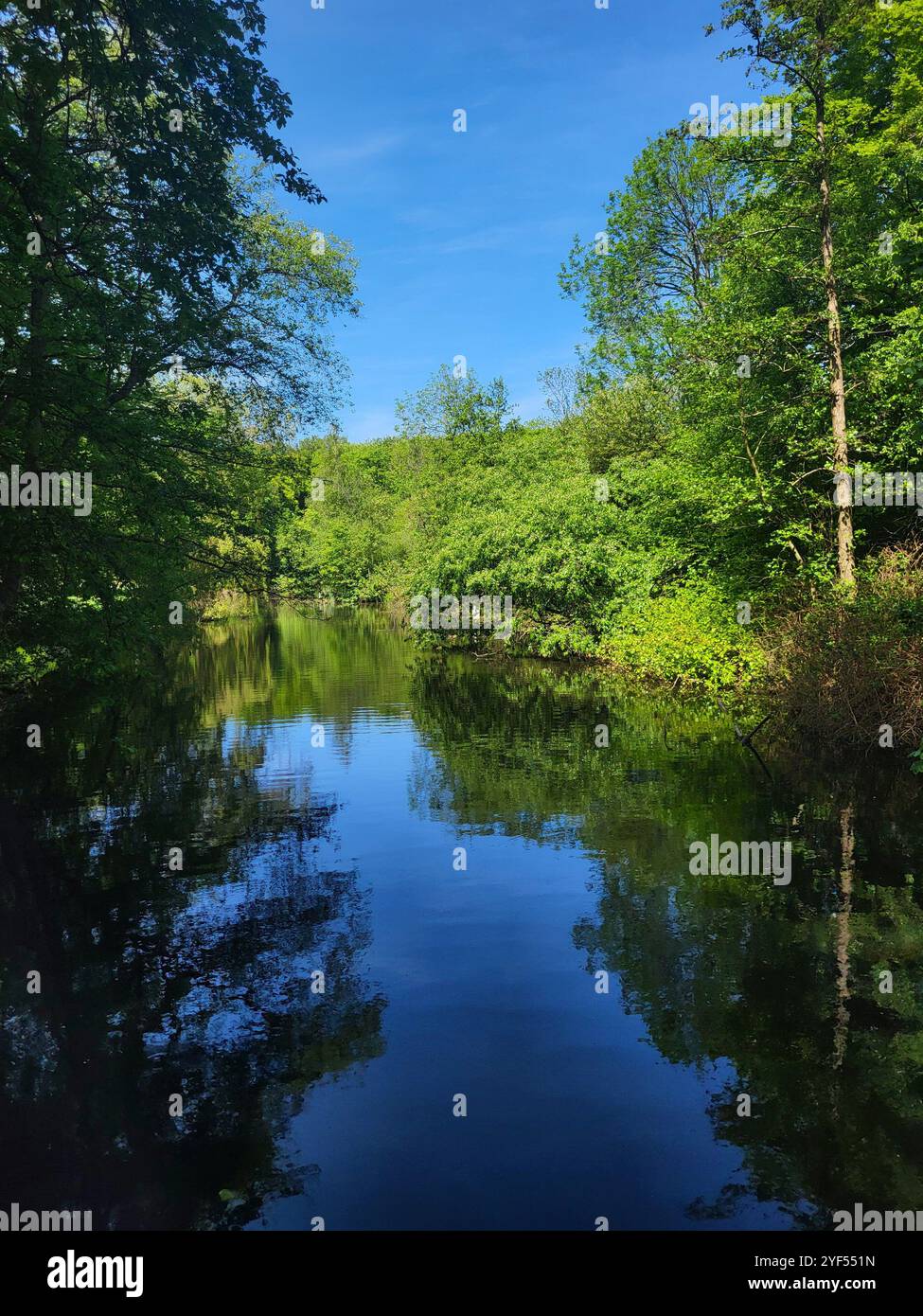 Looking through nature hi-res stock photography and images - Alamy