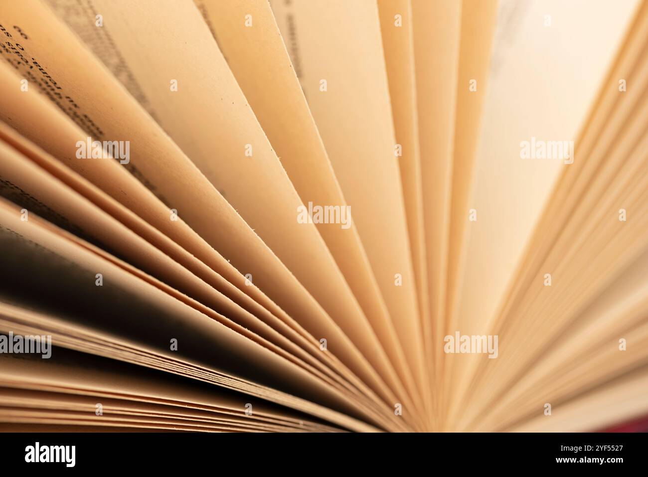 Detalle de las hojas de papel de un libro abierto en abanico Stock ...