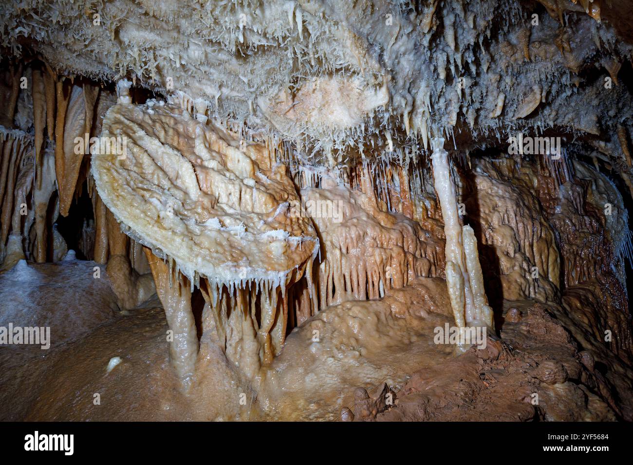 Shield of france hi-res stock photography and images - Alamy