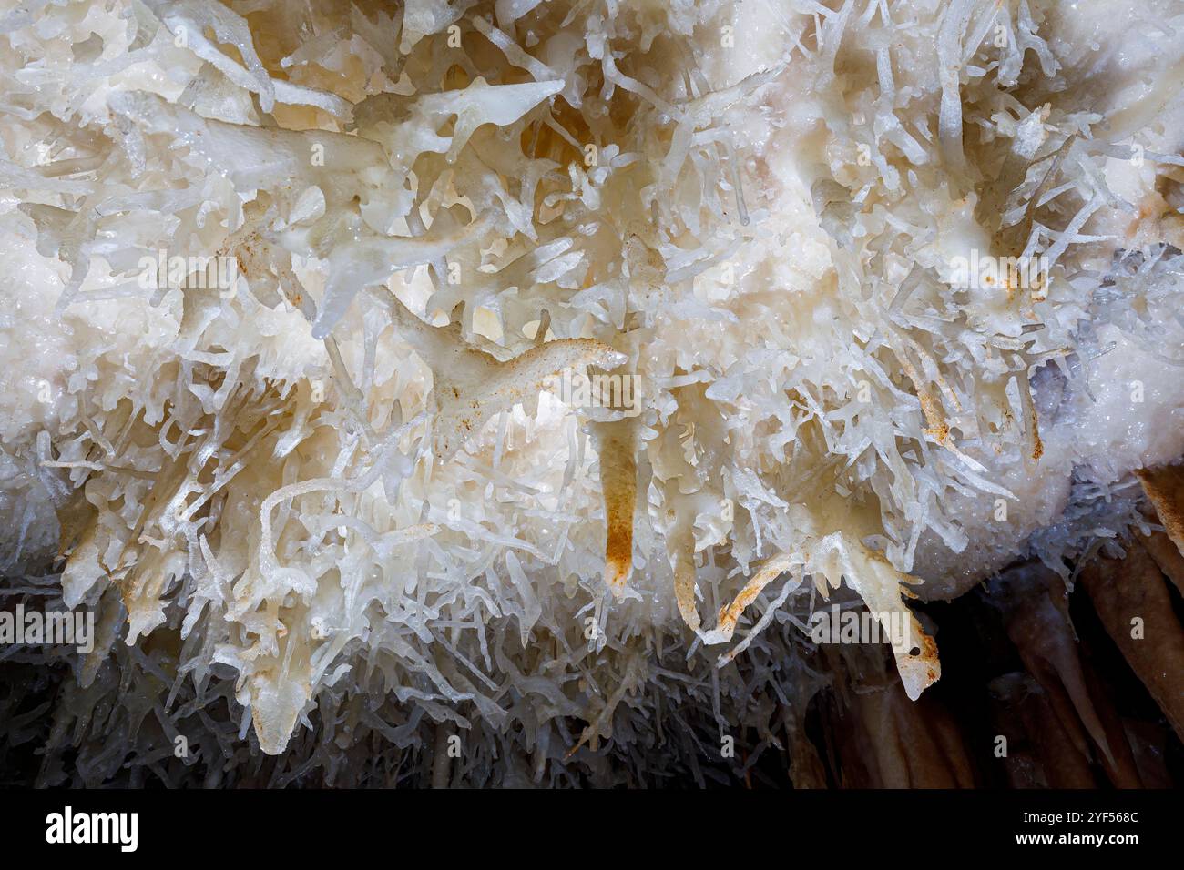 Helictites, Grotte de la Toussaint, France Stock Photo - Alamy