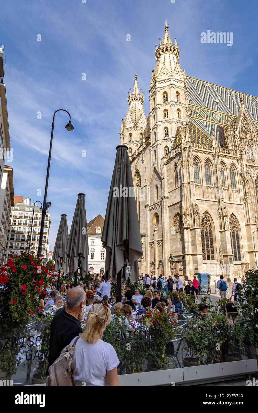 Views of Domkirche St. Stephan, Vienna, Austria, Europe Stock Photo - Alamy