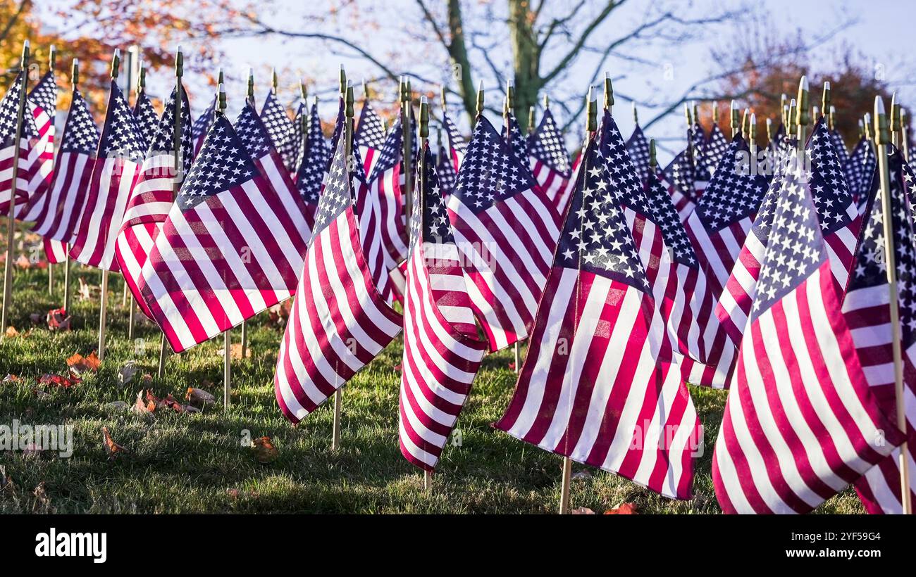 American flags planted in the ground hi-res stock photography and ...