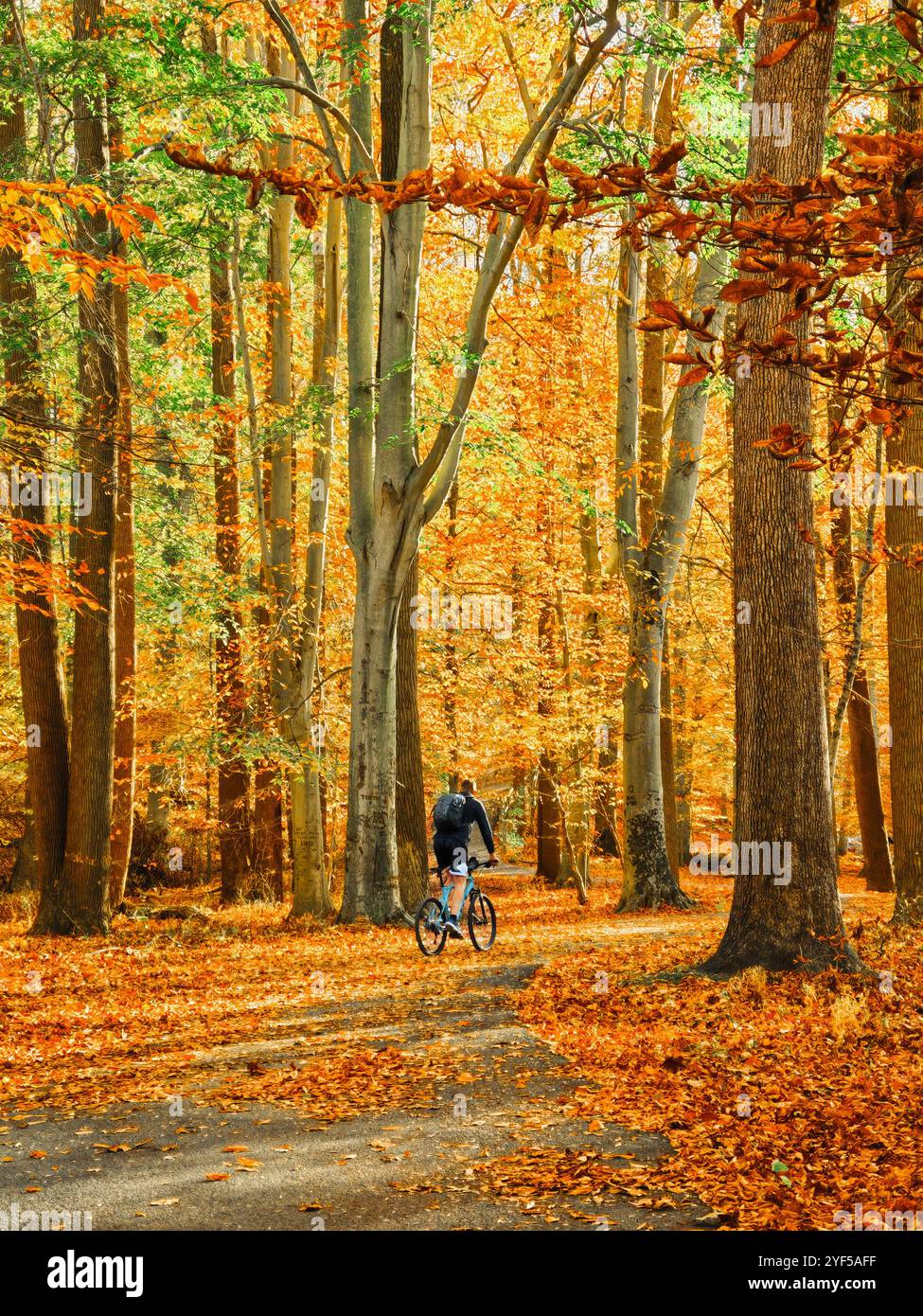 Pennypack park hi-res stock photography and images - Alamy