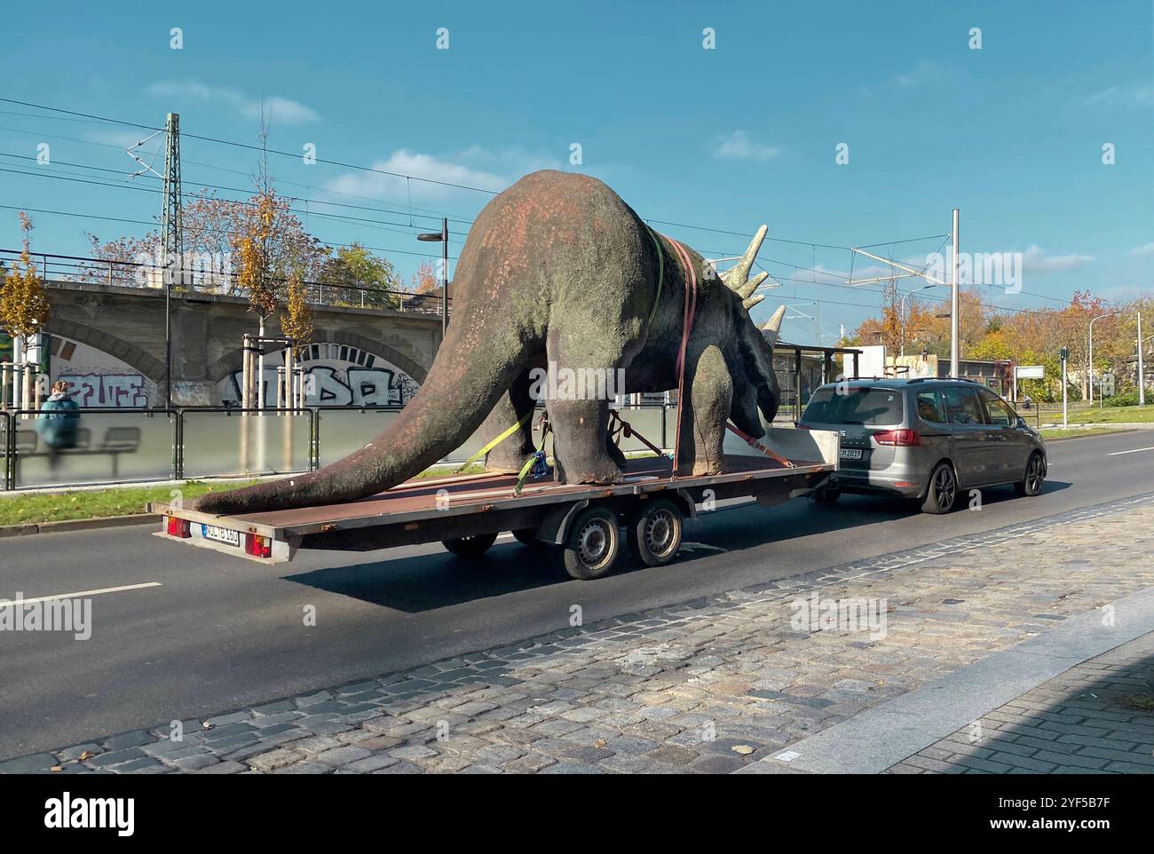 Ceratopsidae dinosaurier hi-res stock photography and images - Alamy