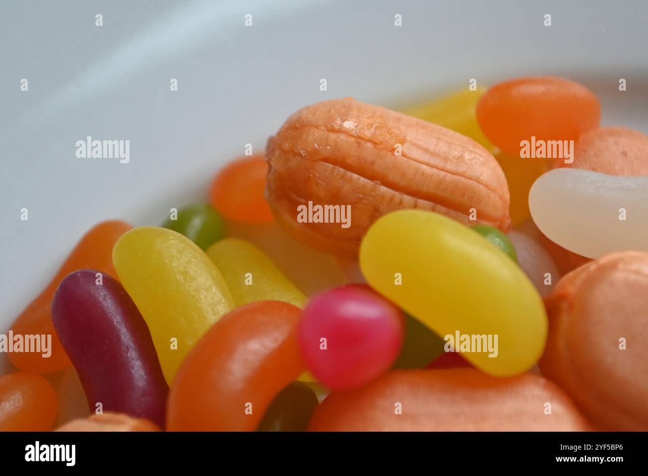 Small Beans 18 Stock Photo - Alamy
