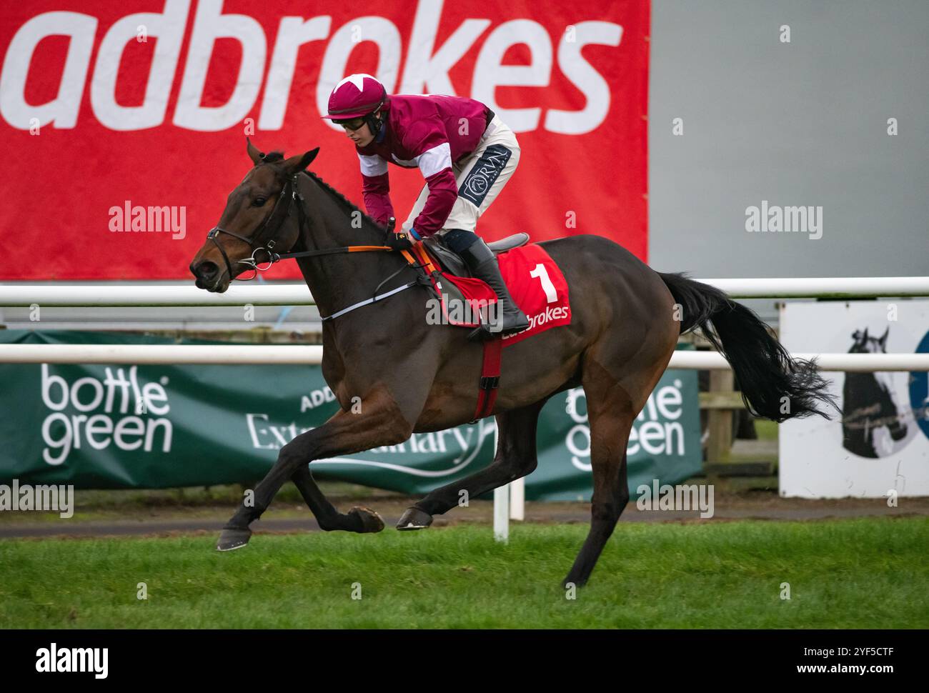 Champion flat jockey 2024 hi-res stock photography and images - Alamy
