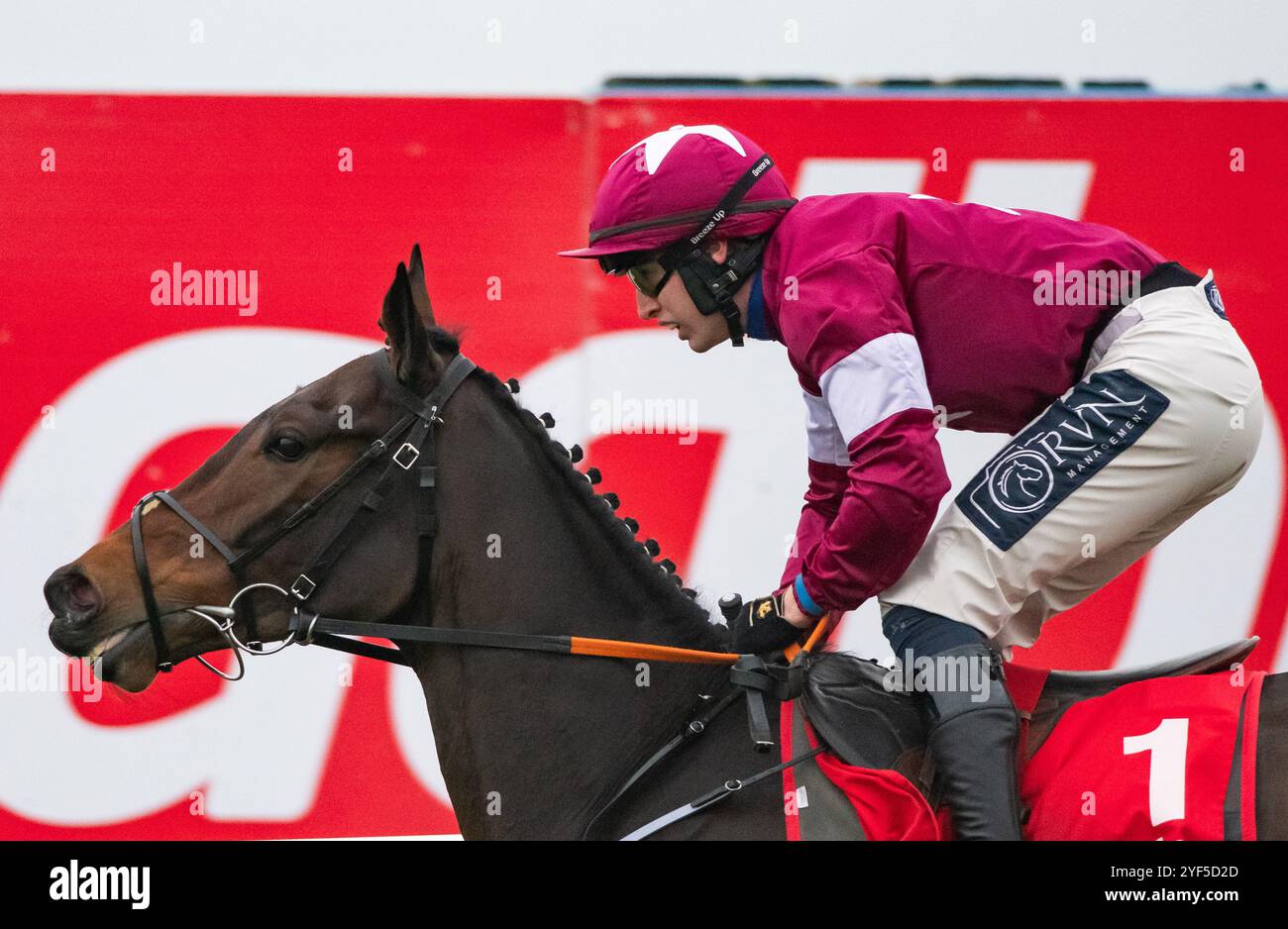 Champion flat jockey 2024 hi-res stock photography and images - Alamy