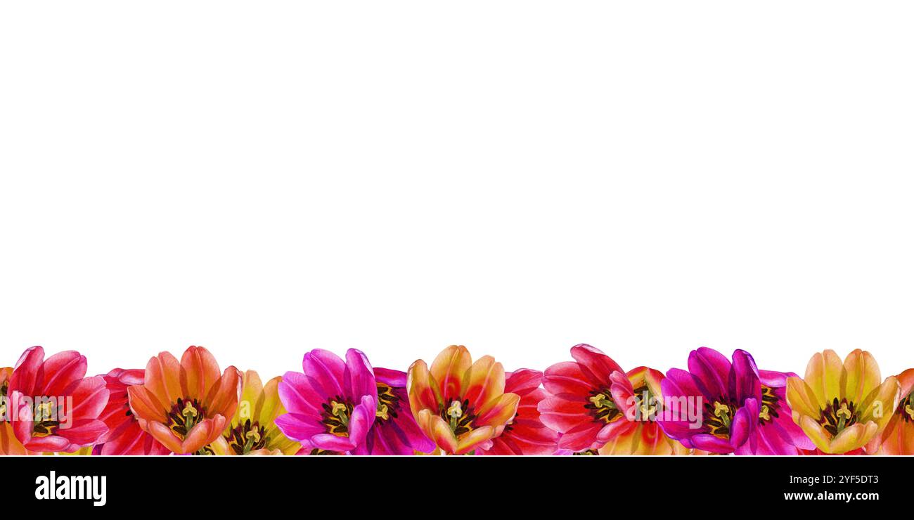 Horizontal Flower Border Clipart Flowers Horizontal Spring Composition
