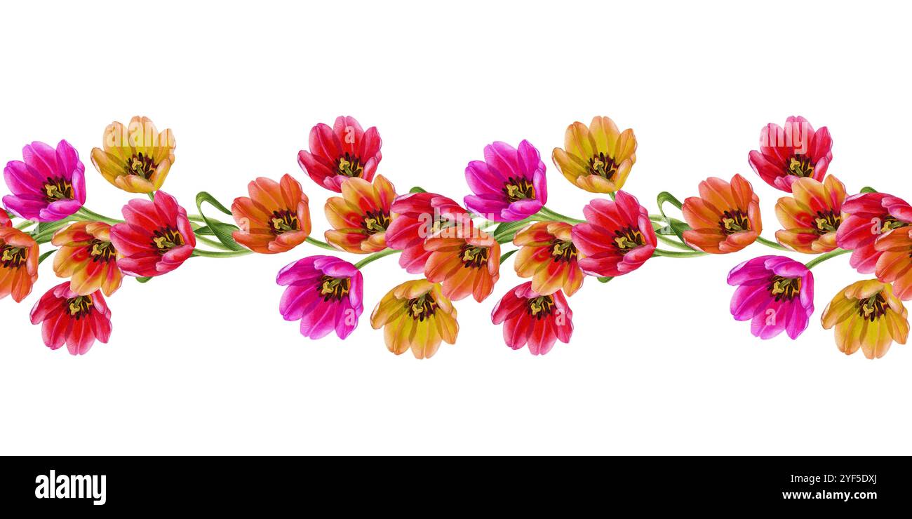 Watercolor Mums Border Clip Art