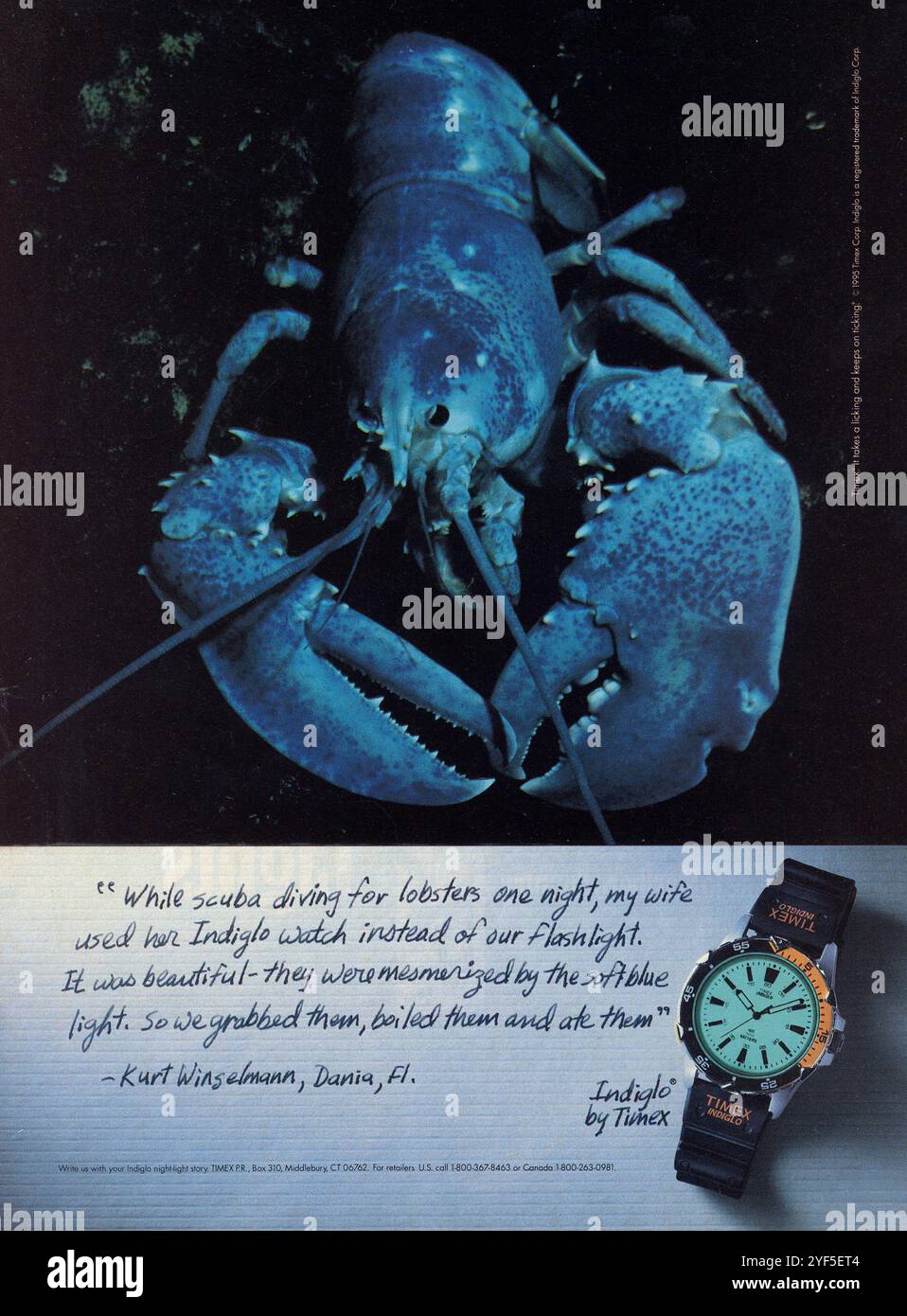 Vintage Playboy Magazine June 1995 issue Advert, USA Stock Photo - Alamy