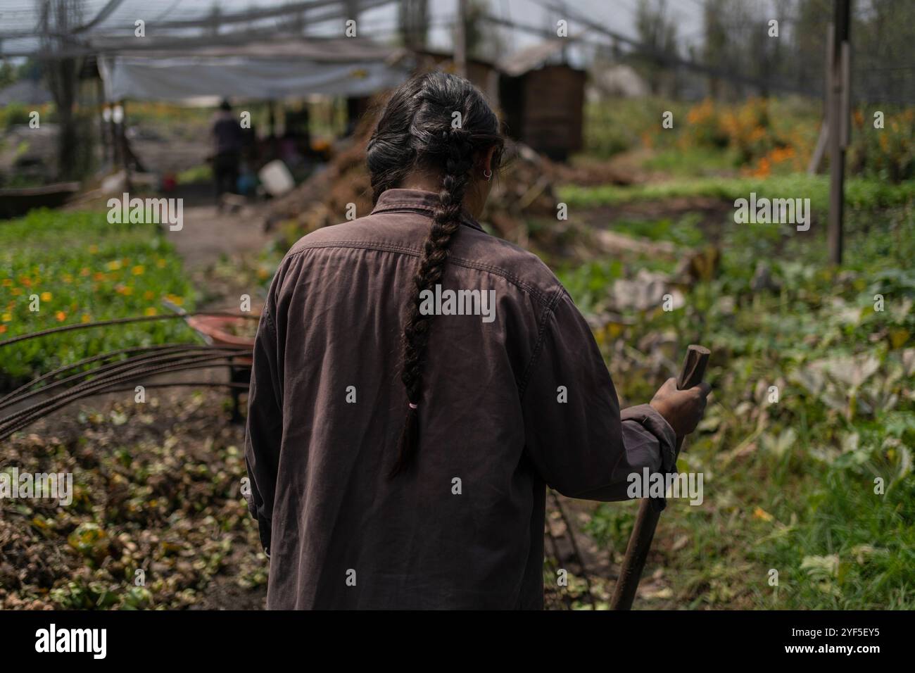 Cassandra Garduno works in her floating garden in the Xochimilco ...