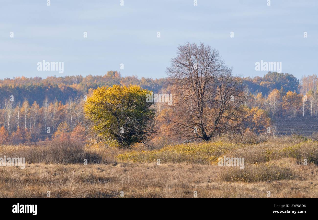 Bleak landscape landscapes hi-res stock photography and images - Alamy