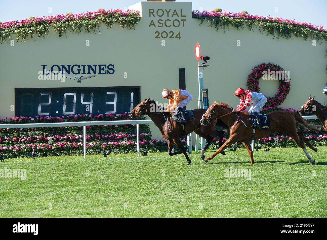 FILE PICS. 3rd November, 2024. Sadly it has been announced that horse ...