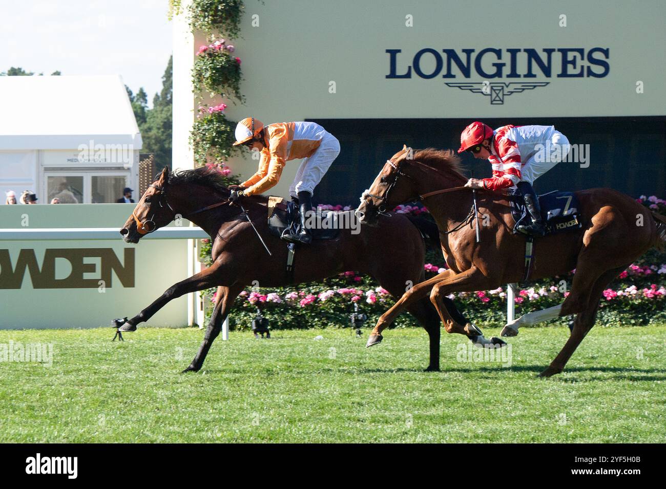 FILE PICS. 3rd November, 2024. Sadly it has been announced that horse ...