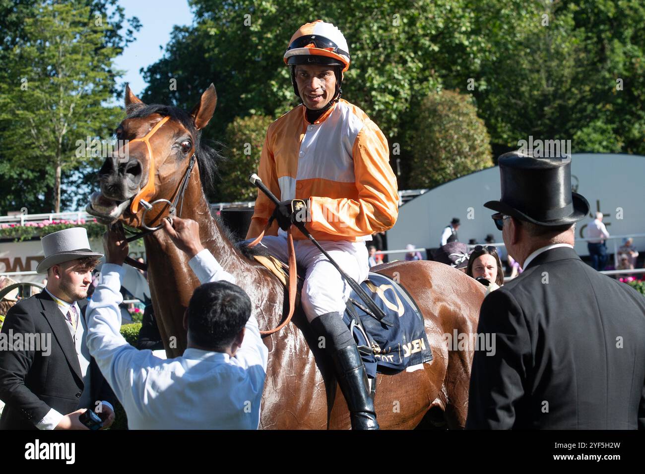 FILE PICS. 3rd November, 2024. Sadly it has been announced that horse ...