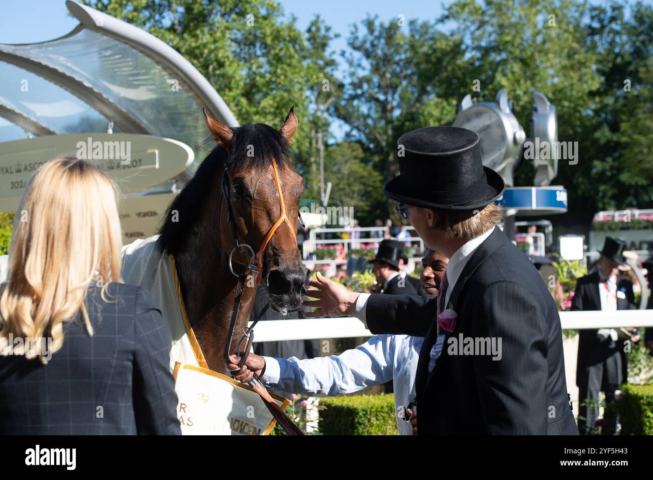 FILE PICS. 3rd November, 2024. Sadly it has been announced that horse ...