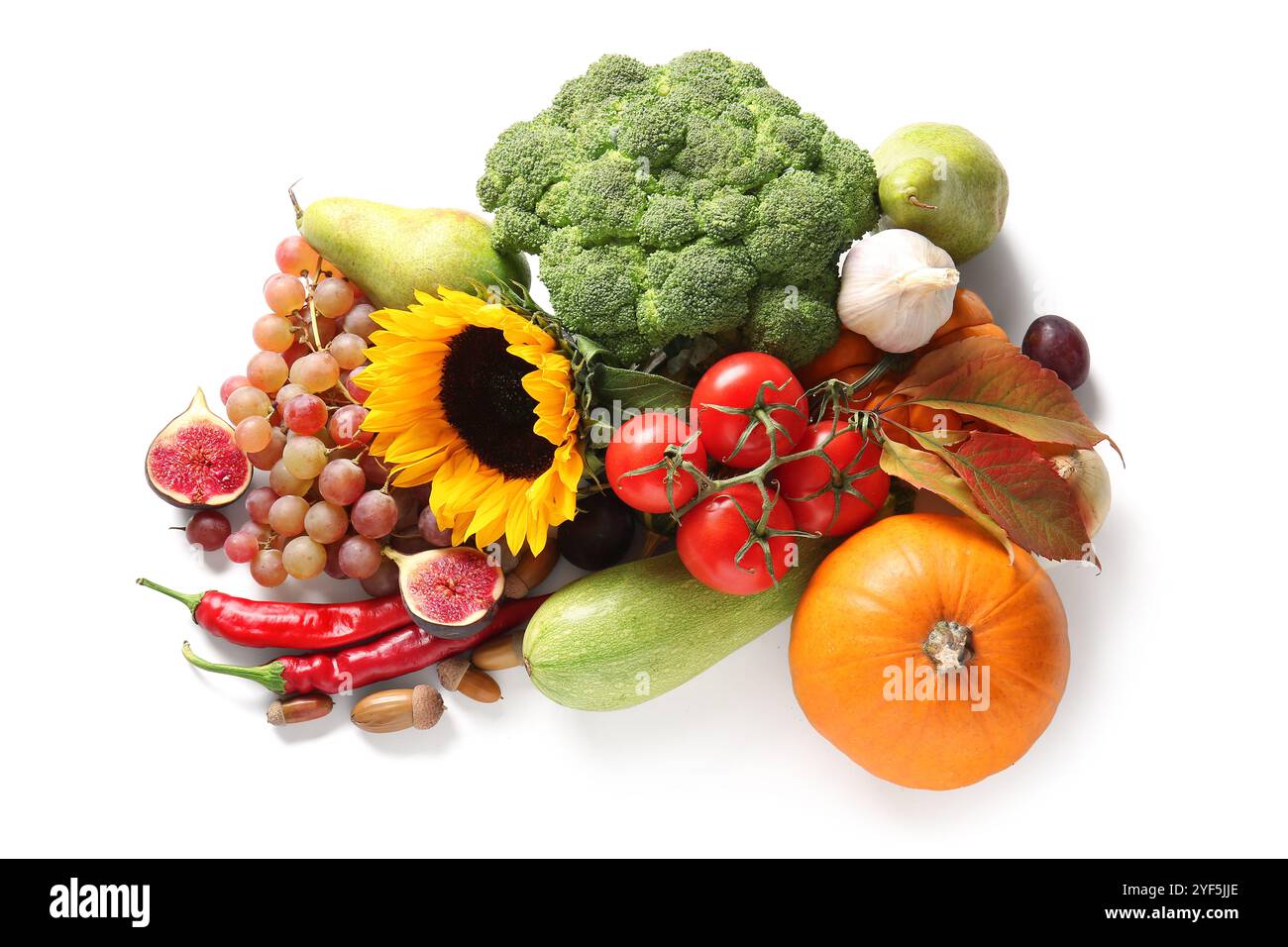 Different fresh vegetables, fruits and sunflower on white background ...