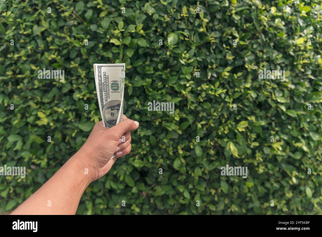 Hand holding loan money dollar bank note give financial payment. Man ...