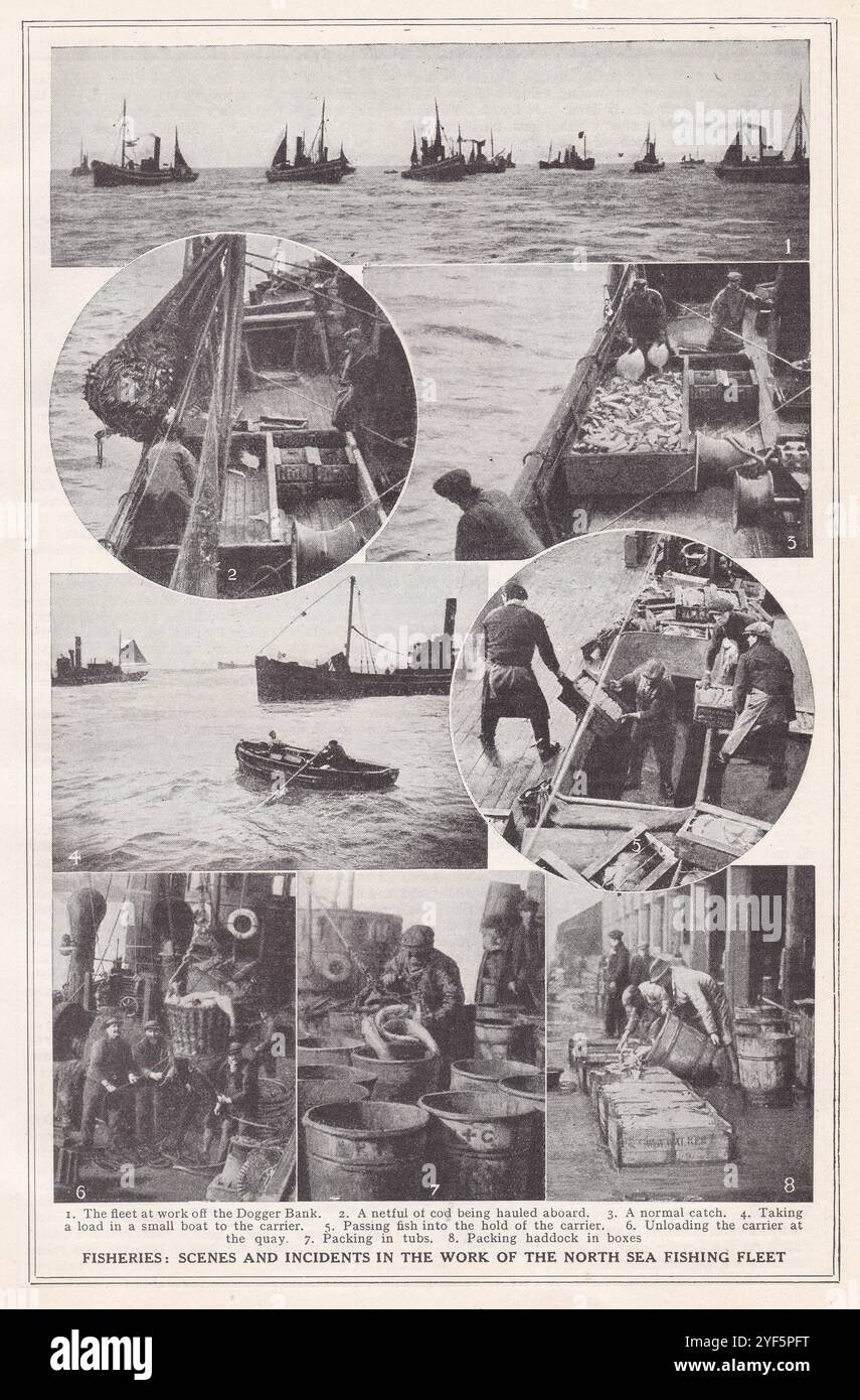 Vintage photos of the North Sea fishing fleet, 1900s Stock Photo - Alamy