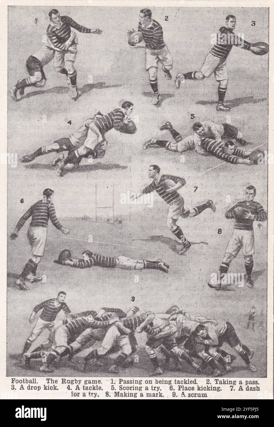 Rugby positions hi-res stock photography and images - Alamy