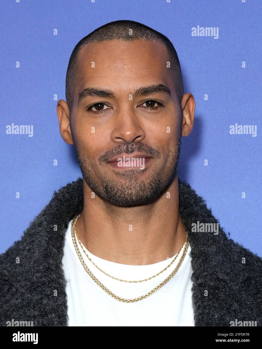 Los Angeles, USA. 02nd Nov, 2024. Lamon Archey attending Peacock's ...