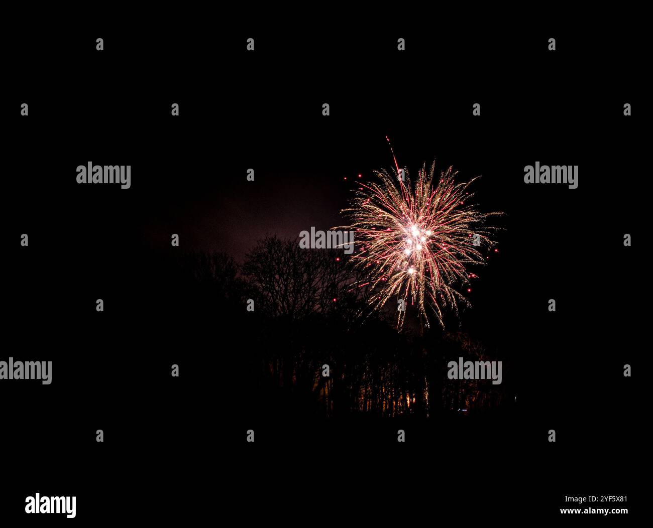 Fireworks by a dark sky bonfire night, Diwali, new year, Chinese new ...