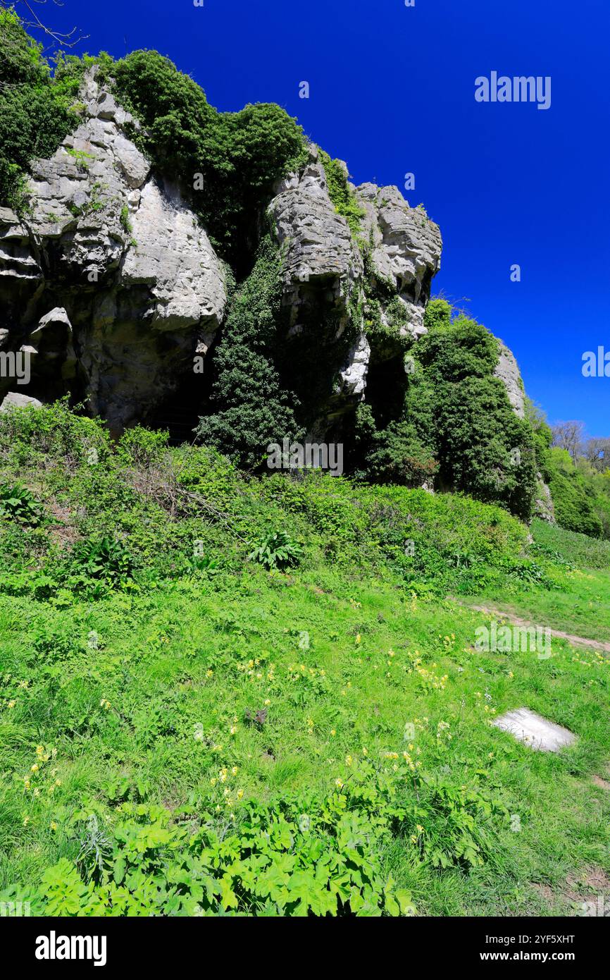 View of the Dog Hole Ice Age Cave at Creswell Crags Prehistoric Gorge ...