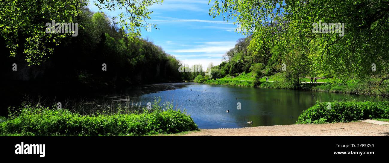 View of the lake at Creswell Crags Prehistoric Gorge, Nottinghamshire ...