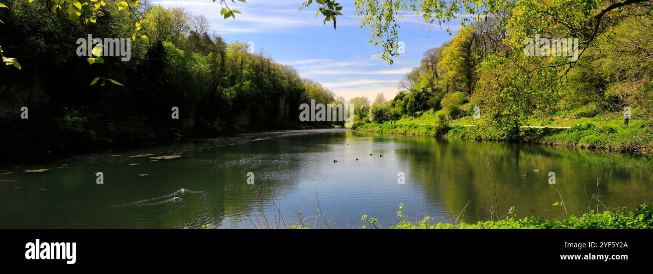 View of the lake at Creswell Crags Prehistoric Gorge, Nottinghamshire ...