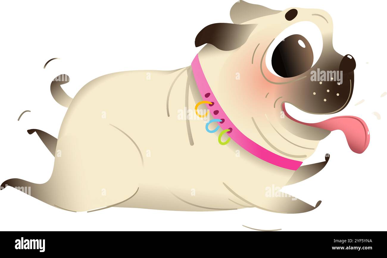Happy dog pug breed running hi-res stock photography and images - Alamy