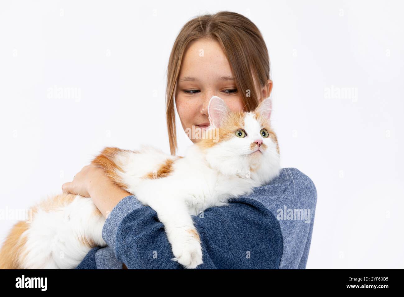 A Young Girl is Tenderly Cuddling a Ginger Cat in a Vibrant and ...