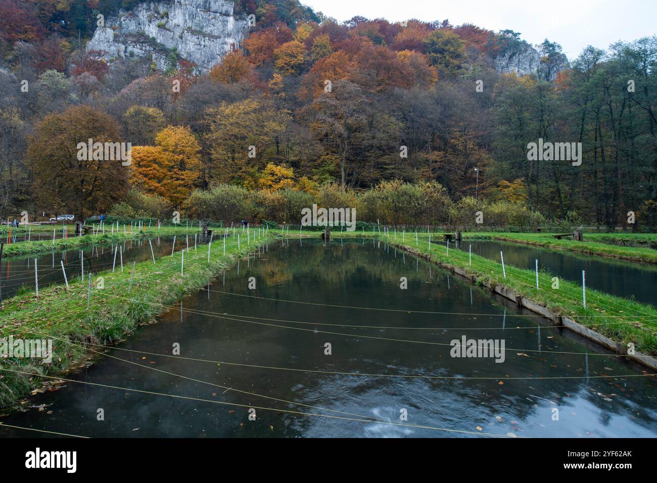 Pond for breeding and rearing of river fish Stock Photo - Alamy