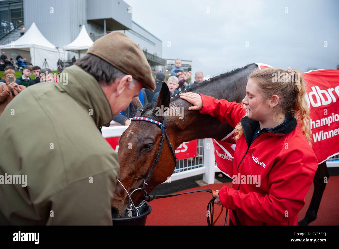 Champion jockey 2024 hi-res stock photography and images - Alamy