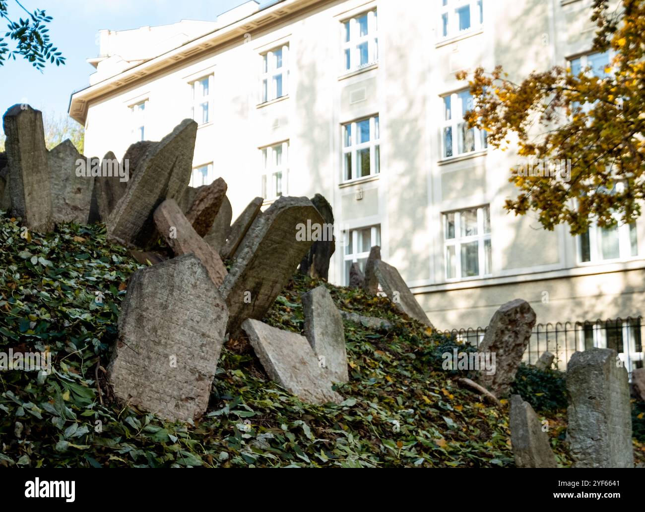 Historic gravestones in the crowded Old Jewish Cemetery in Prague in ...