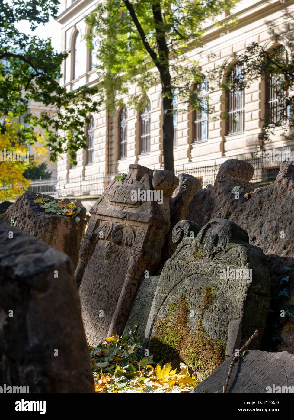 Historic gravestones in the crowded Old Jewish Cemetery in Prague in ...