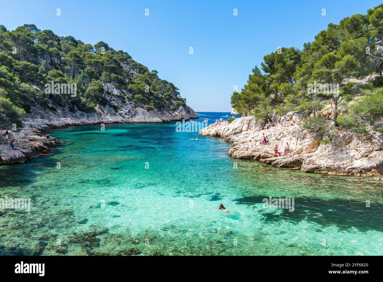 Calanque de Port Pin, Calanques of Marseille Stock Photo - Alamy