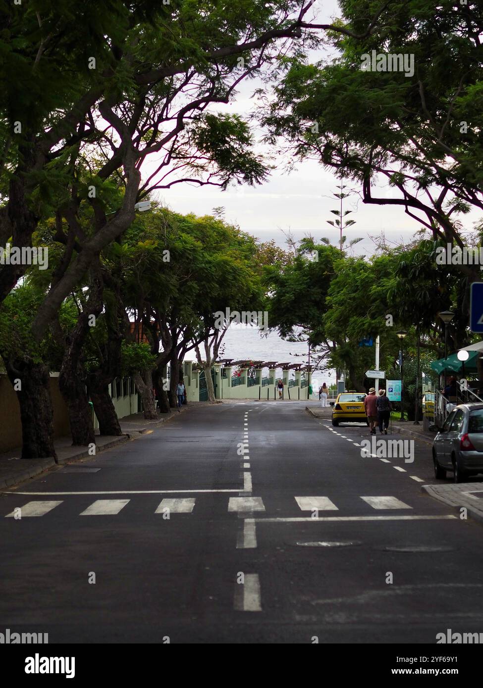 An empty street lined with trees leads towards an open ocean view, with ...