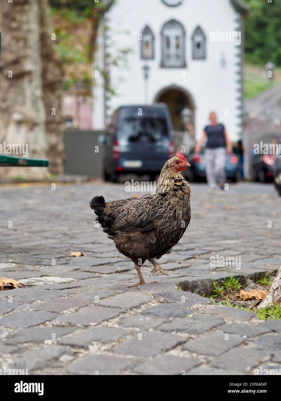 Playful exploration of urban life hi-res stock photography and images ...