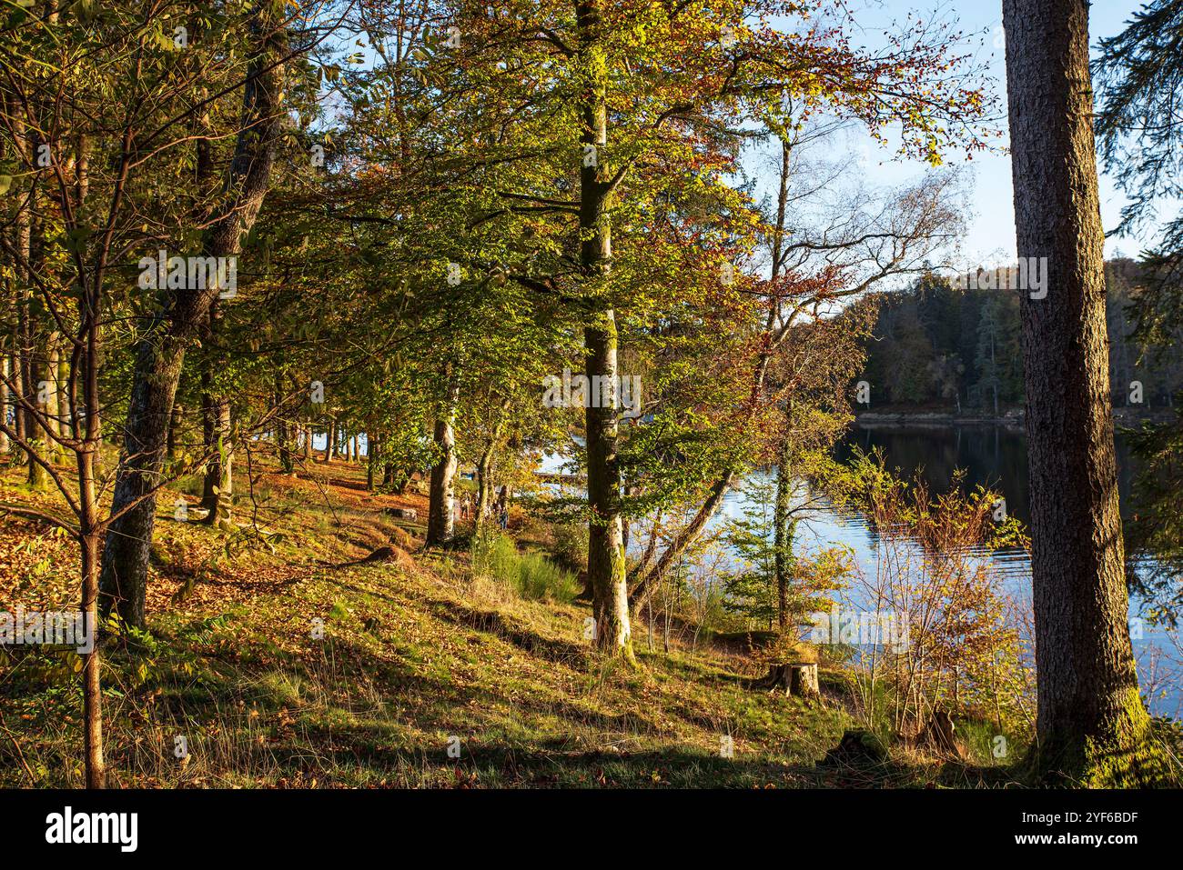 Lac des Settons in the Morvan in Burgundy, France in autumn with a ...