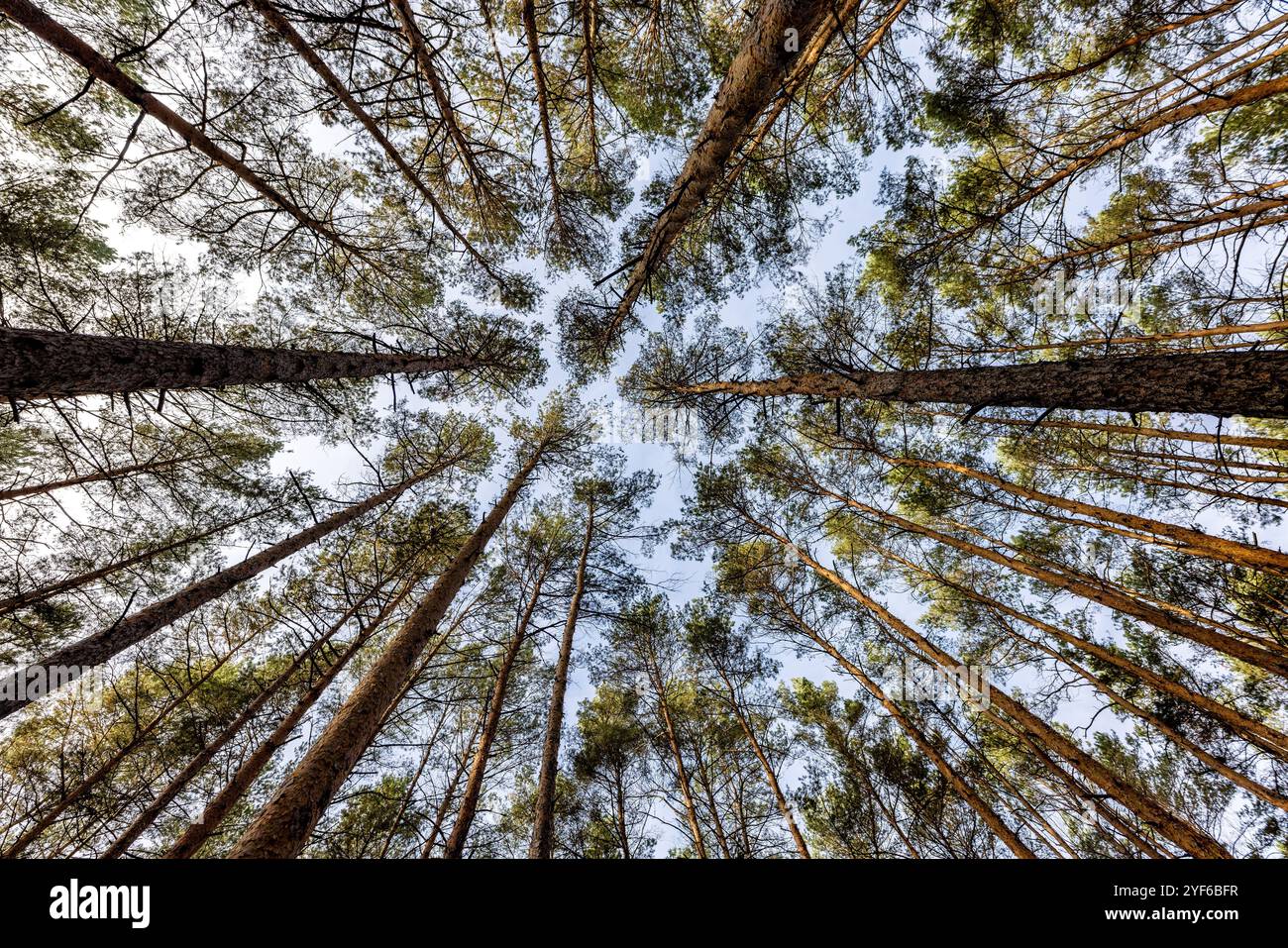 35 meters hi-res stock photography and images - Alamy