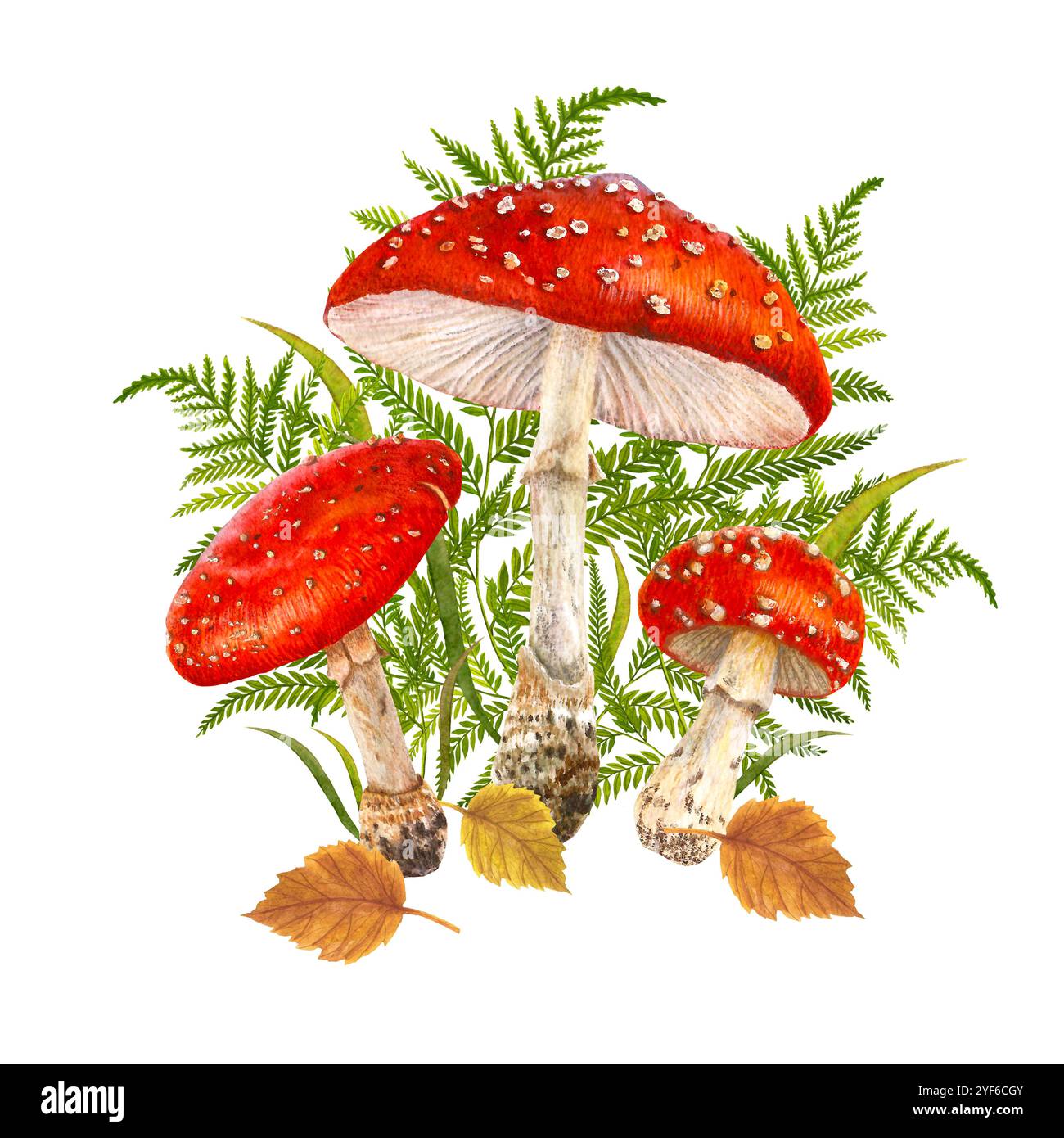 Composition art Cut Out Stock Images & Pictures - Alamy