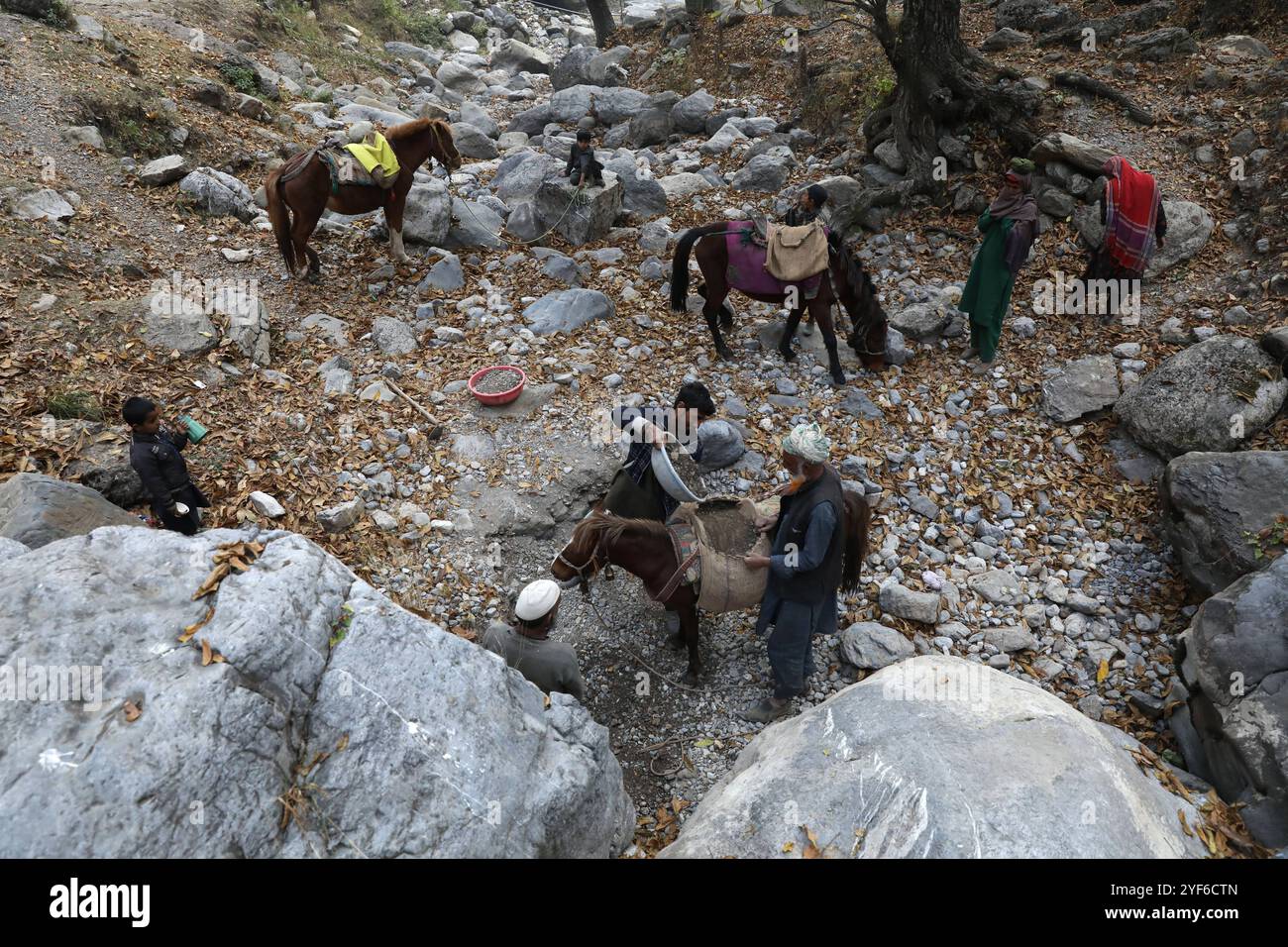 Nomads daily life in Hajan Nard village in Kashmir, India Kashmiri ...