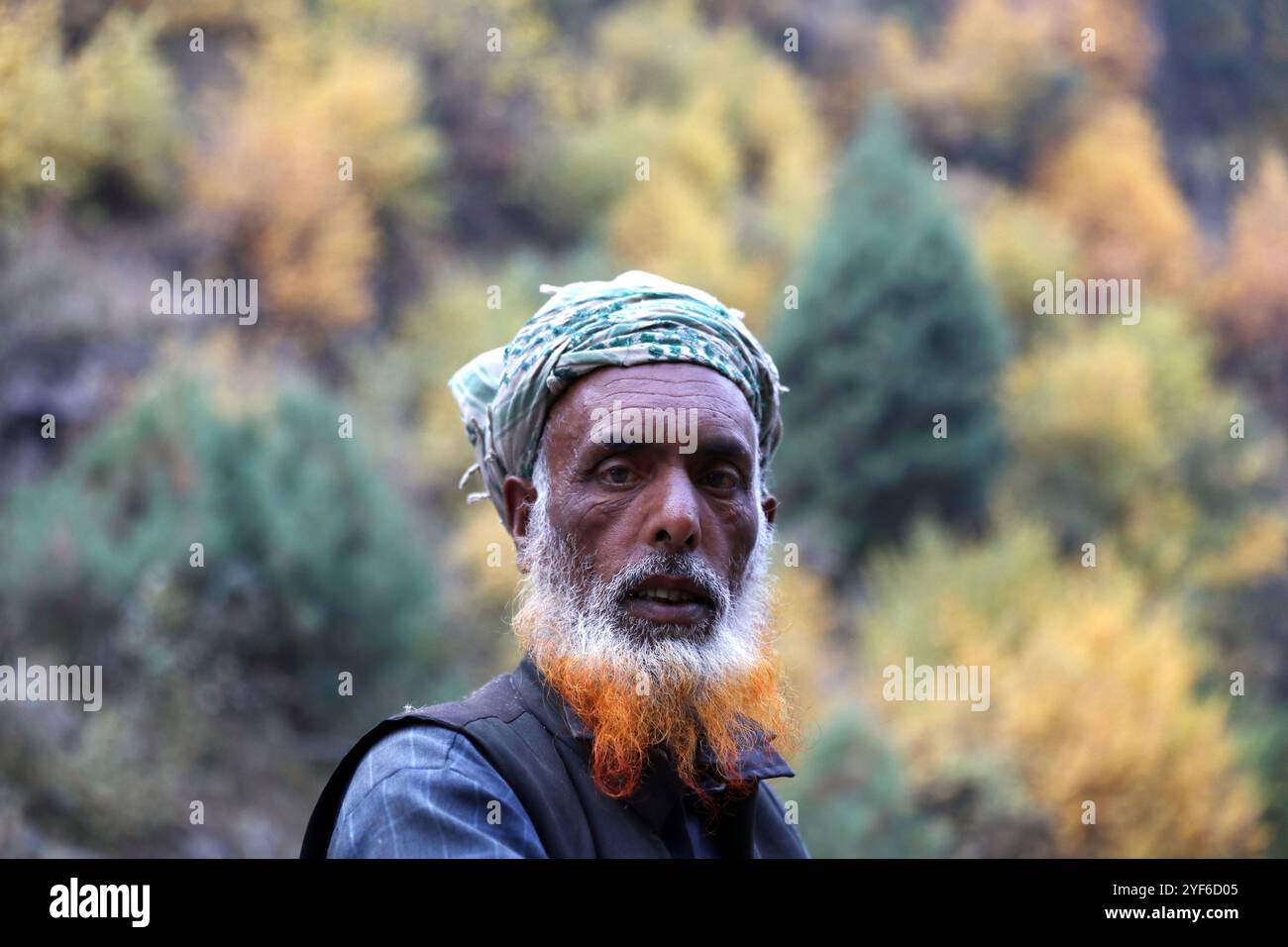 Nomads daily life in Hajan Nard village in Kashmir, India A Kashmiri ...