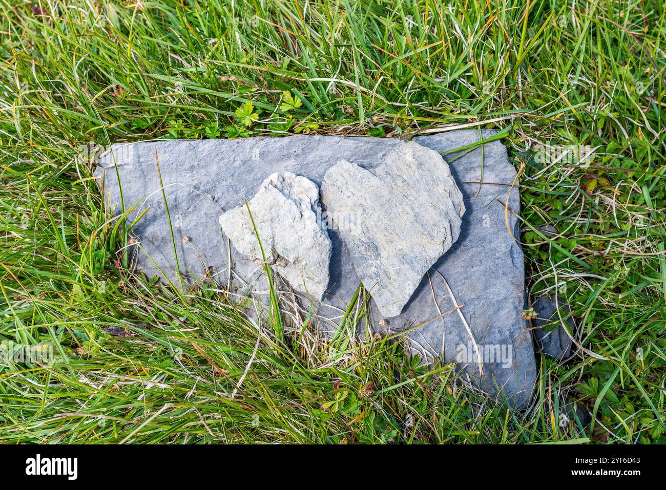 Two stones hi-res stock photography and images - Alamy