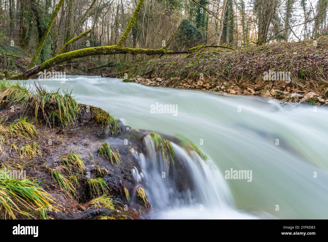 Pristine swiss rivers hi-res stock photography and images - Alamy