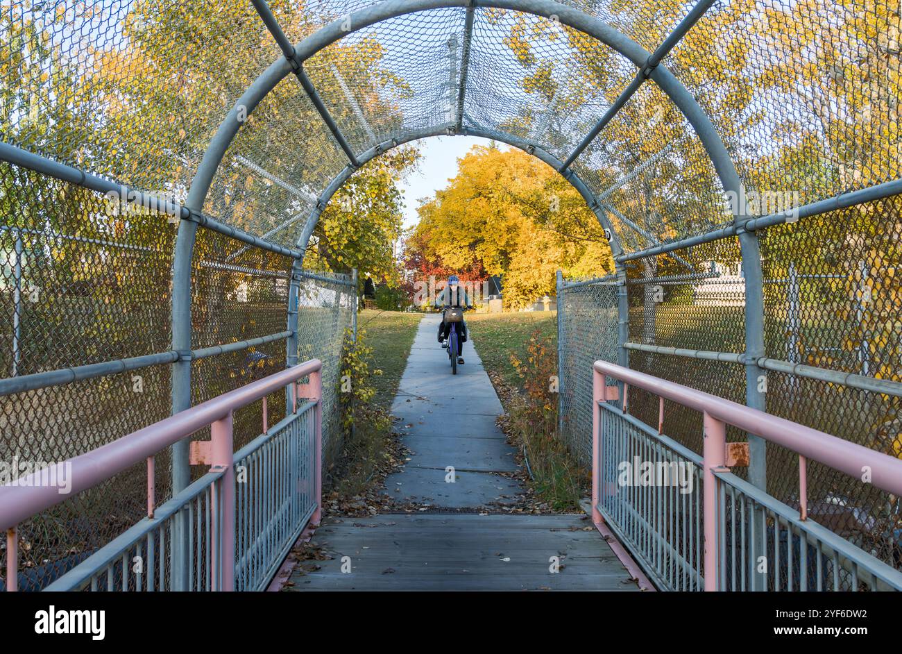 Edmonton, Canada, October 10, 2024: A cyclist is entering pedestrian ...