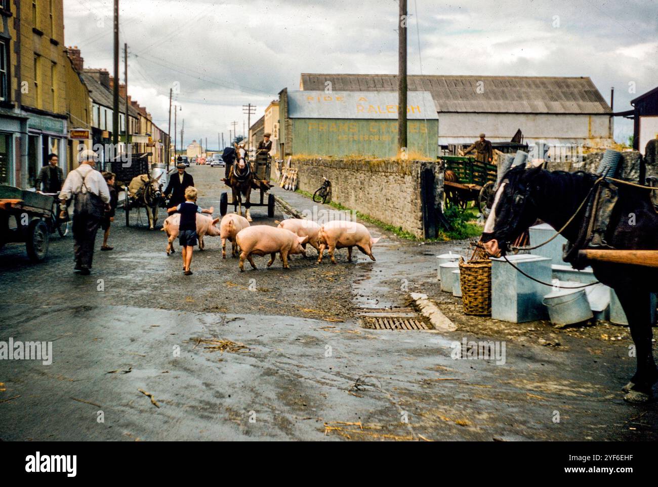 A rural scene on Killarney Road, Castleisland, County Kerry, Ireland in ...