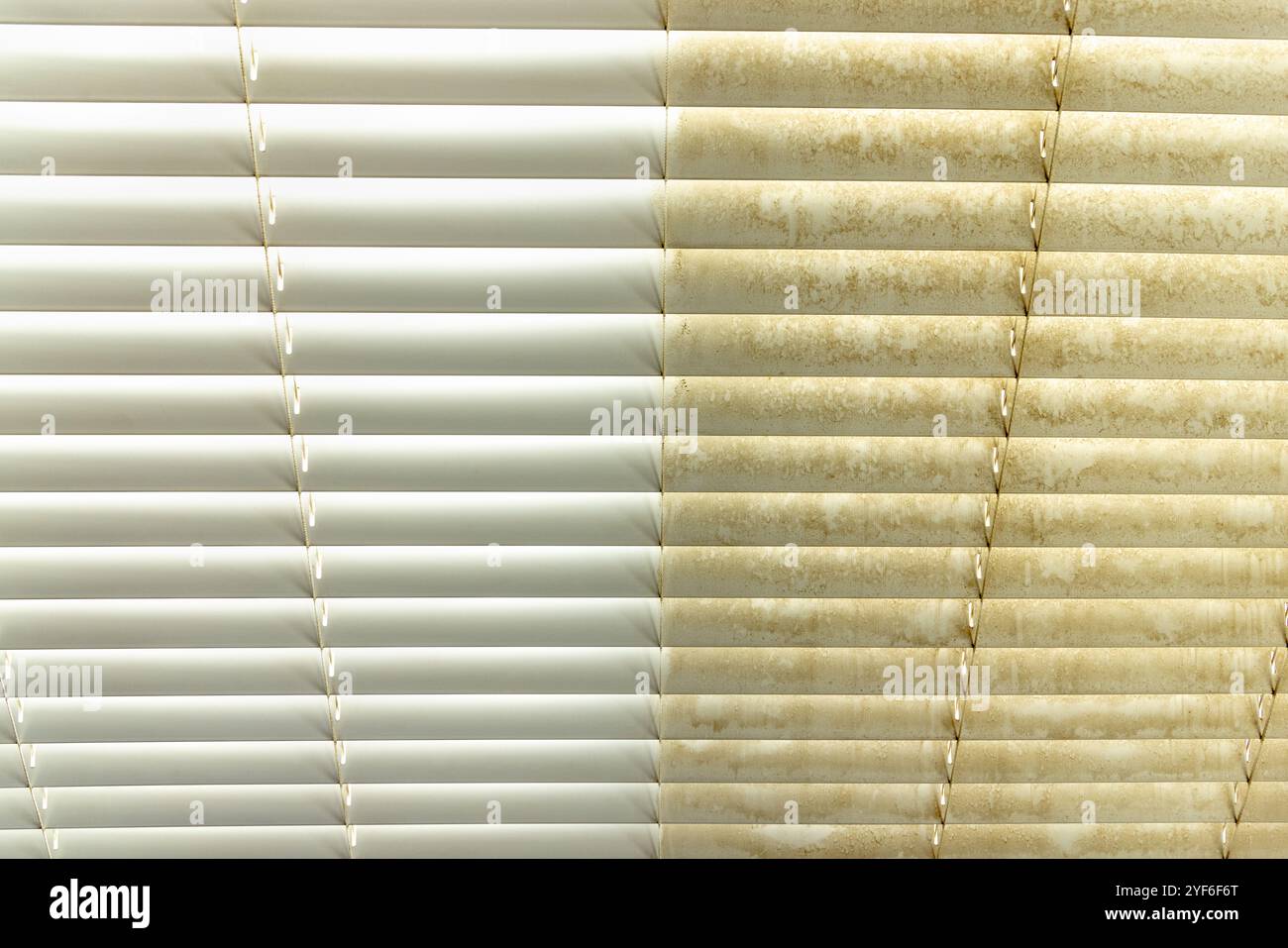 Clean Dirty Window Before And After 1,600+ Looking Through Dirty