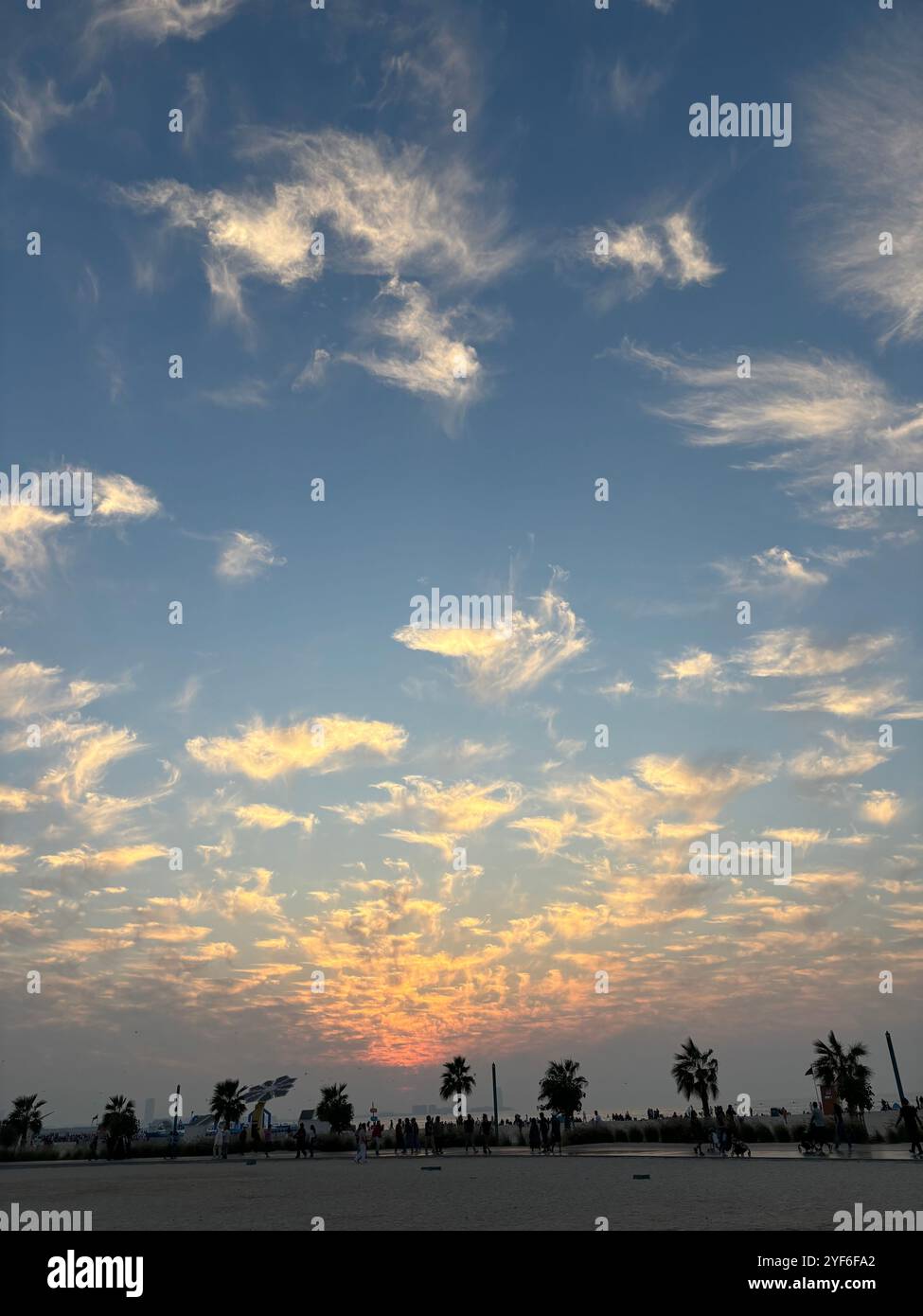Nature in UAE Stock Photo - Alamy